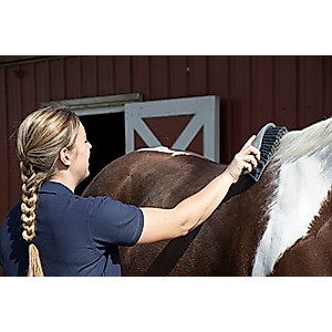 Oster Equine Care Series Horse Grooming Brush, Stiff Bristle, Pink (0-34264-41960-5)