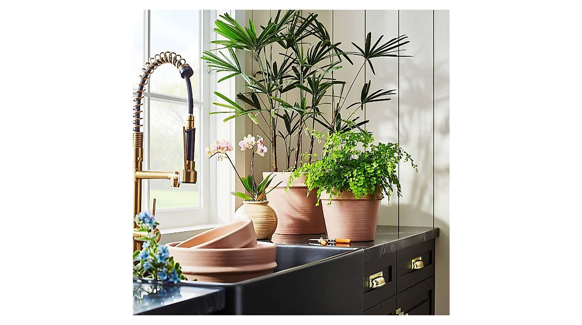 Threshold Studio McGee Earthenware Tabletop Planter - Rose