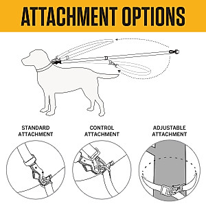 Carhartt Dog Leash Brown/Brushed Brass, Large