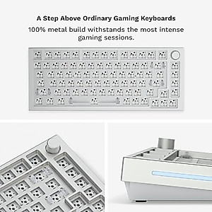 Glorious Modular Mechanical Gaming Keyboard Barebones/Pre Built/Black and White (Barebones (White))