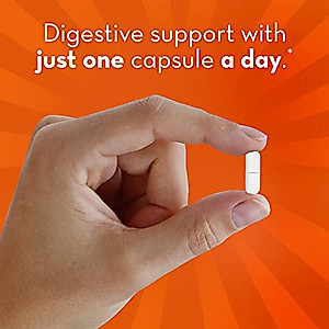 Align Probiotic, Probiotics for Women and Men, Daily Probiotic Supplement for Digestive Health*, #1 Recommended Probiotic by Doctors and Gastroenterologists‡, 42 Capsules