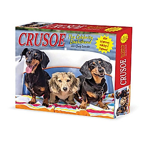 Crusoe the Celebrity Dachshund 2021 Box Calendar (Dog Breed Calendar)