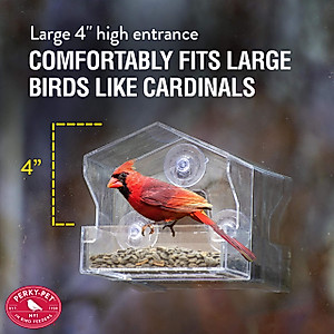 Perky-Pet 345 Clear Outdoor Window Bird Feeder with Strong Suction Cups – 1/2 Lb Seed Capacity