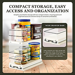 Vertical Spice - 4x2x11 DC - Storage Organizer Drawer with 2 Tiers - Heavy Duty - Size: 4.6" Width x 10.75" Height x 10.6" Depth - MADE IN USA