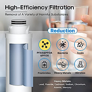 ICEPURE CTR-W2 RO Filter Replacement Cartridge, Replacement for Countertop Reverse Osmosis Water Filtration System, Purify Tap Water, Remove 99.99% PFAS&PFOA&PFOS，12-24 Months (1 Pack)