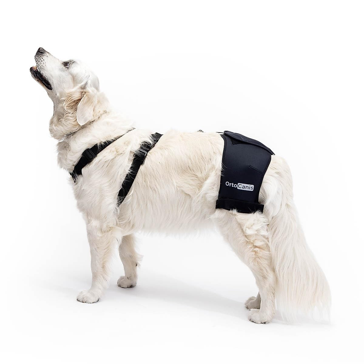 Ortocanis - Hip Support for Dogs with Hip Dysplasia or Osteoarthritis (L)