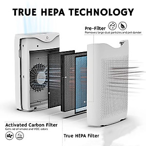 Airthereal True HEPA Filter Replacement for Pure Morning APH230C Air Purifier - 3 Filtration Stage True HEPA Technology - Eliminates Pollen, Dust, Fire Smoke, Pet Dander (1-Pack)