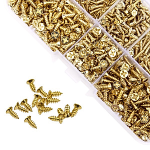 Rrina 1150Pcs M2 M3 Gold Plate Carbon Steel Small Screws Phillips Flat Head Cross Self Tapping Tiny Screw Cabinet Electronic Accessories Screw DIY Micro Woodworking Mini Screw Assortment Kit