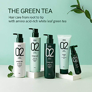 AMOS PROFESSIONAL The Green Tea Shampoo [Moist - For Normal/Dry Scalp] 17.6oz (500g) | Anti-Thinning & Anti- Hair Loss Shampoo for Hair Growth and Moisture | Korean Hair Salon Brand