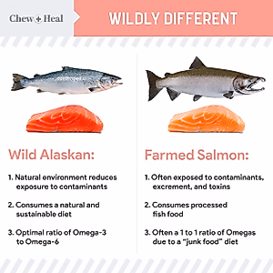 Wild Alaskan Salmon and Pollock Fish Oil for Dogs - 16 oz. of Fish Oil Formula - Pump Cap Bottle - Contains Omega-3 and 6, Vitamin D, EPA, and DHA for Healthy Skin and Coat