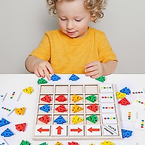 Montessori Toys Color Direction Cognitive Wooden Toy for Toddler Color Sorting Games for Developing Fine Motor Skill (Color and Orientation Cognition)