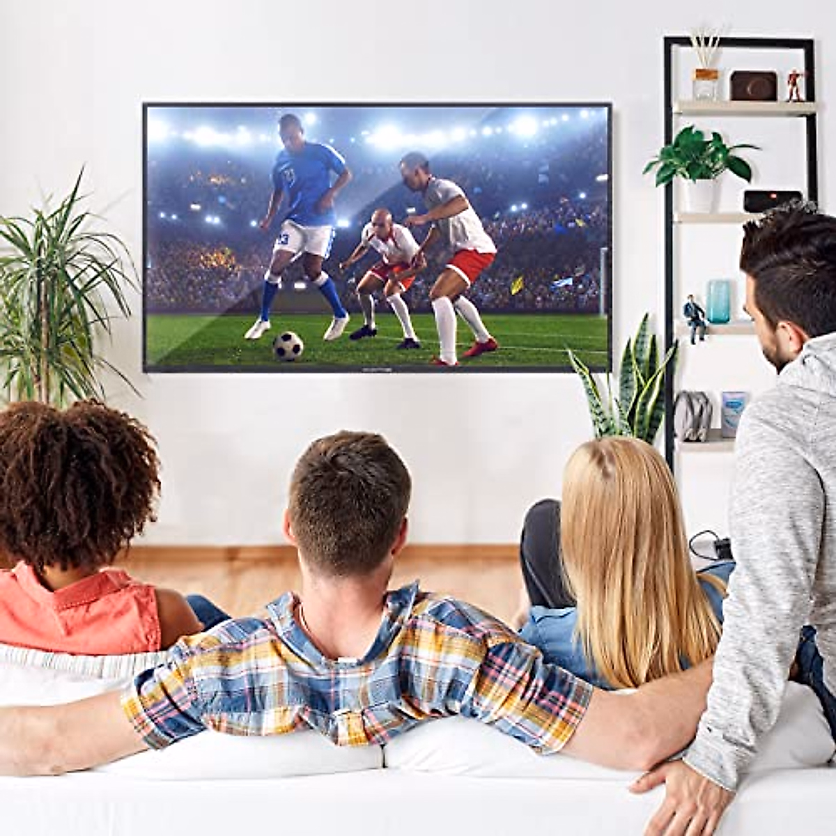 Sceptre 40" Class FHD (1080P) LED TV (X405BV-FSR)