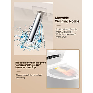 LDian Tankless Smart Toilet With Bidet Built In,Heated Toilet Seat One-piece Bidet Toilet Seat, Auto Flush, Auto Open & Auto Close, Warm Water and Dryer, Wireless Remote Control