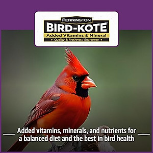 Pennington Pride Songbird Nut & Fruit Blend, Wild Bird Seed for Outside Feeders, Advanced Nutrition Formula for Bird Health, 10-lb. Bag