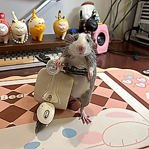 Hamster Toys Motorcycle Guinea Pig Toys Small Animal Toys for Dwarf Syrian Hamster Mice Mouse Gerbil Rat or Other Small Pets Green