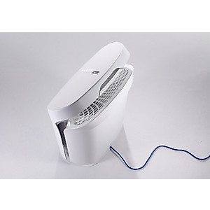 Rabbit Air BioGS 2.0 Ultra Quiet HEPA Air Purifier (SPA-550A White)