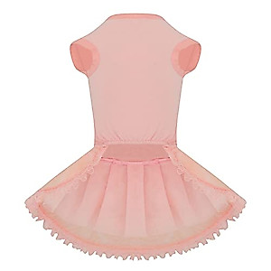 Dog Cute Gold Glitter Dress Tutu Outfit Princess Skirt for Small Medium Girl Dogs Wedding Bride Birthday Party Photography (Birthday Girl, L)