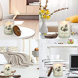 4 Pack Candles for Home Scented, Aromatherapy Candles Gifts Set for Women, Soy Wax 200 Hour Long Lasting Jar Candles Gift for Birthday Mom Christmas Thanksgiving Day Present