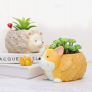 Happyyami Ceramic Animals Succulent Plant Pot Resin Hedgehog Cactus Flower Container Bonsai Planter Holder for Home Office Garden Decor
