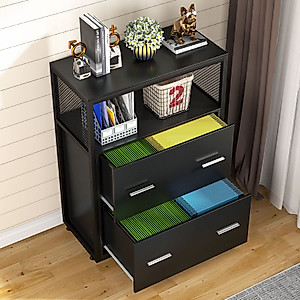 TRIBESIGNS WAY TO ORIGIN 2 Drawer File Cabinet with Lock, Large Lateral Filing Cabinet for Letter/Legal / A4 Size, Wood Printer Stand with Open Storage Shelves for Home Office (Black)