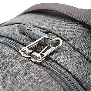 Pacsafe Metrosafe LS450 25 Liter Anti Theft Laptop Backpack - with Padded 15" Laptop Sleeve, Adjustable Shoulder Straps, Patented Security Technology (Black)