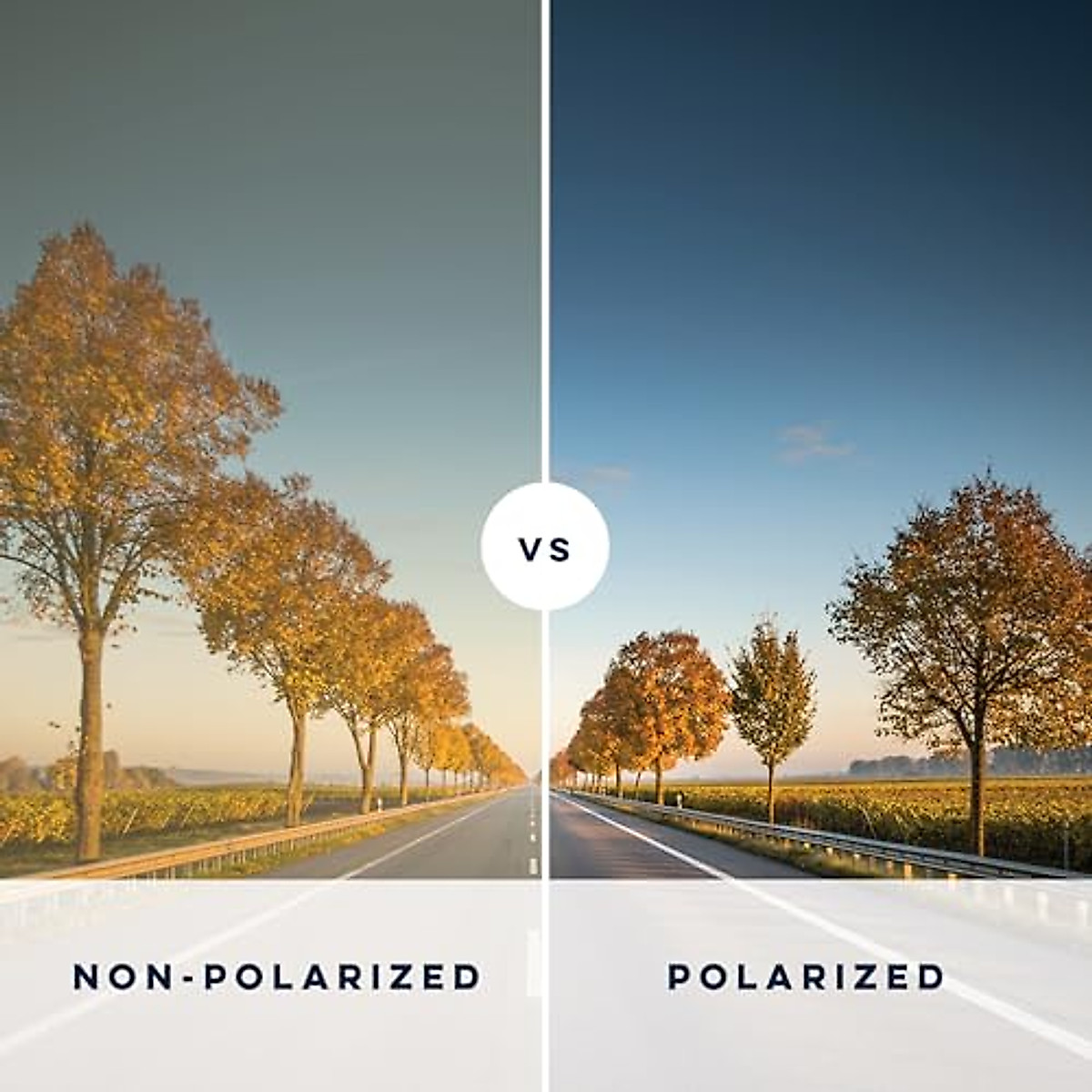 Peepers by PeeperSpecs Women's Poolside Polarized Sunglasses Square, Black, No Correction