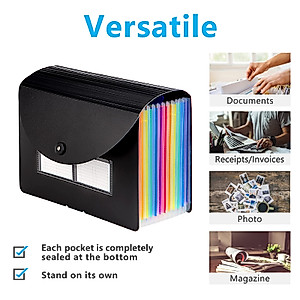 Sooez 13 Pocket Expanding File Folder, Premium Monthly Document Organizer, Accordian File Folder Organizer, Accordion Folder, Letter A4 Paper Document Storage Organizer, Black