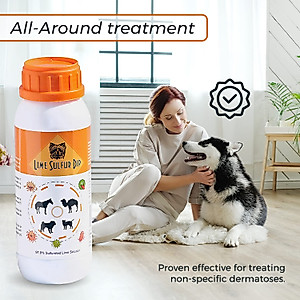 Healthy Paw Life - Lime Sulfur Dip - Pet Care for Itchy and Dry Skin - Xtra Strength Formula - Safe Solution for Dog, Cat, Puppy, Kitten, Horse (16 oz)