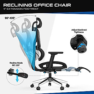 Laziiey Ergonomic Office Chair with Lumbar Support, Mesh Desk Chair with 4D Adjustable Arms Headrest, High Back Computer Chair for Home Office Work (Black)