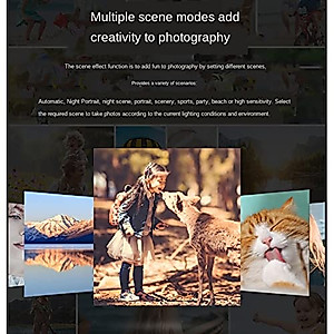 LINXHE Digital Camera 2.7 inch HD Camera Compact Camera Pocket Camera,8X Digital Zoom Rechargeable Small Digital Cameras for Kids,Beginners (Color : Red)