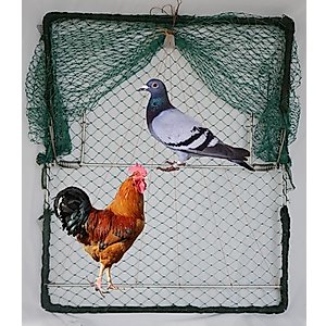Bird Net Dird Net Trap Live Dove Mousetrap Rabbit Hunting Quail Cage Sparrows Squirrels Trapping Bird Trap 24''X20''