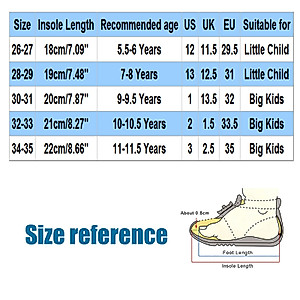 Girls Boys Home Slippers Warm Dinosaur House Slippers for Toddler Lined Winter Indoor Black Mary Jane Shoes for Girls (Grey, 5.5-6 Years)