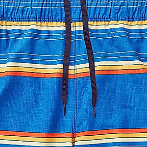 Speedo Mens Hydro Volley Swim Shorts (Speedo Blue Stripe, Medium 32/34)