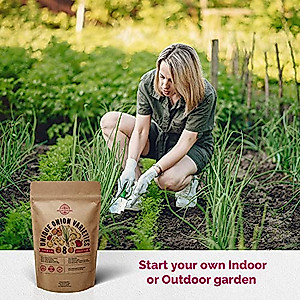 8 Onion Seeds Variety Pack Heirloom, Non-GMO, Onion Seed Sets for Planting Indoors, Outdoors Gardening. 1600+ Seeds: Walla Walla, Green Onion, Red Burgundy, White & Yellow Sweet Spanish Onions & More