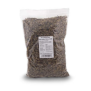 Fluker's Dried Soldier Worm Premium Chicken Treat - 5 Lbs