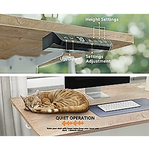 BANTI 55'' Standing Desk, Electric Stand up Height Adjustable Home Office Table, Sit Stand Desk with Splice Board, Maple