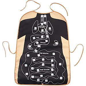 EDIONS 3D Organ Apron for Home Preschool Teaching Aid, Anatomy Apron Human Body Removabl Organs Apron for Kindergarten Kids Children Physiological Education Toy