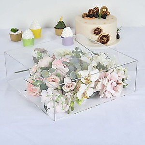 Balsa Circle 14-Inch Clear Acrylic Display Box Cake Stand Centerpiece Pedestal Riser Party Wedding Decorations Supplies