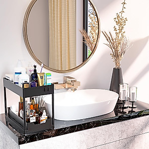 HomeCentral Under Sink Organizers and Storage, 2 Tier Kitchen and Bathroom Cabinet Organizer with Paper Towel Holder, 2 Pack Under Sink Organizer with Hooks, Cups and Pull Out Drawers