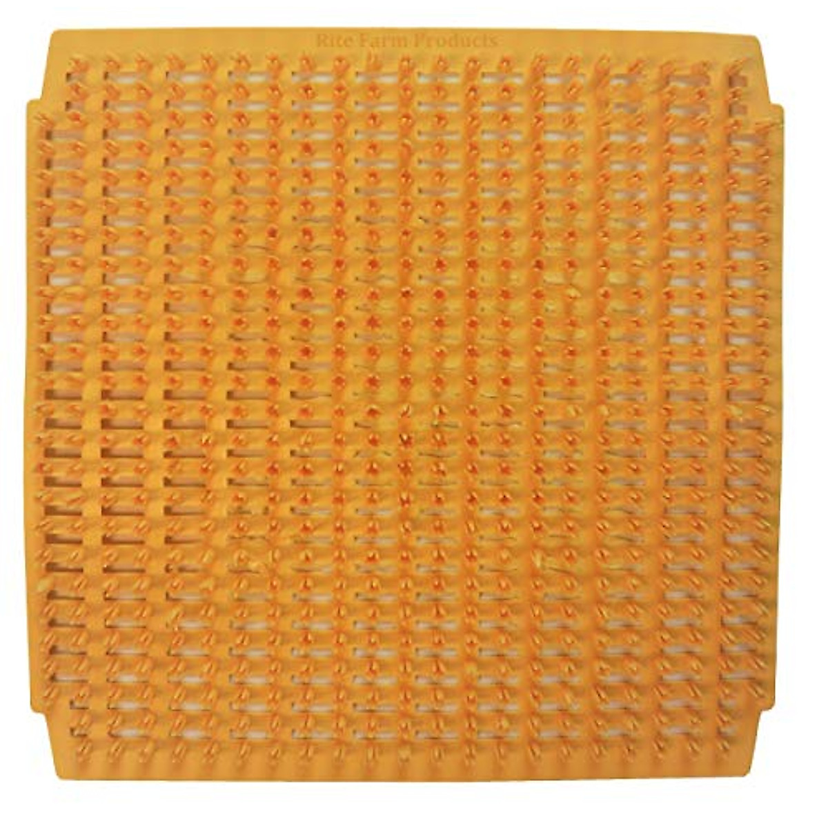 Rite Farm Products Washable Poly Nesting Box PAD MAT Bottom for Chicken COOP Hen House Poultry NEST Pads