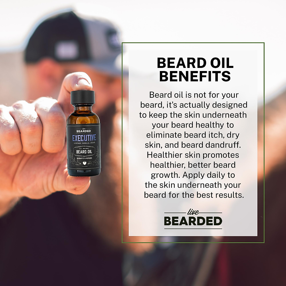 Live Bearded Beard Oil, 1 fl oz - Premium All-Natural Jojoba - Made in the USA - Hair and Skin Care for Men with Dry, Flaky Patches | Executive Scent - Cedar, Vanilla