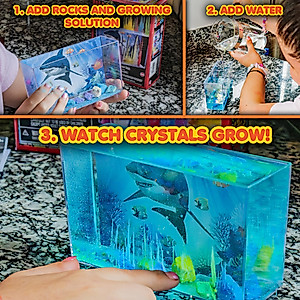 Toysmith Magic Rocks Instant Crystal Growing Kit (Assorted Styles)