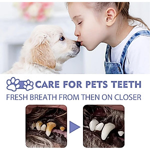 ANRUI Teeth Cleaning Spray for Dogs & Cats,Pet Oral Spray Clean Teeth,Pet Breath Freshener Spray Care Cleaner,Targets Tartar & Plaque Eliminate Bad Breath (1PCS)