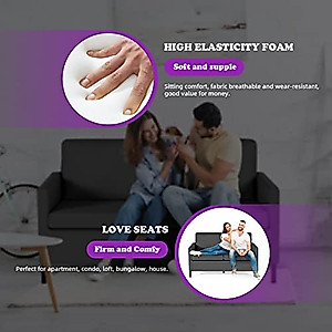 TYBOATLE 51 inch Fabric Modern Loveseat Sofa Couch for Living Room, Upholstered Love Seats 2-Seater w/Iron Legs for Compact Small Space, Apartment, Bedroom, Dorm, Office (Dark Grey)