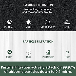 isinlive Blue Pure 311 Replacement Fil-TER Compatible with Blueair Blue Pure 311 Air Puri-Fier(Non auto), 2 in 1 Fil-tration Systems, Particle and Activated Carbon, 2 Pack