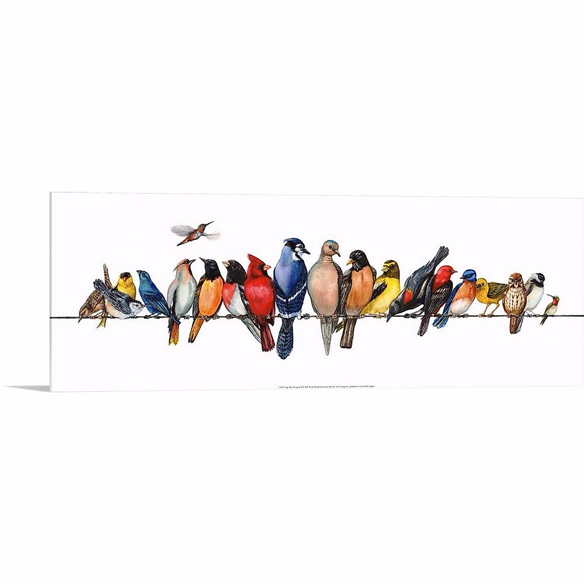 GREATBIGCANVAS Large Bird Menagerie Metal Wall Art Print, Bird Home Decor Artwork, 36"x12"