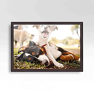 31x23 Rustic Brown Real Wood Picture Frame Width 0.75 Inches | Interior Frame Depth 0.5 Inches | Kingsley Brown Distressed Photo Frame Complete with UV Acrylic, Foam Board Backing & Hanging Hardware