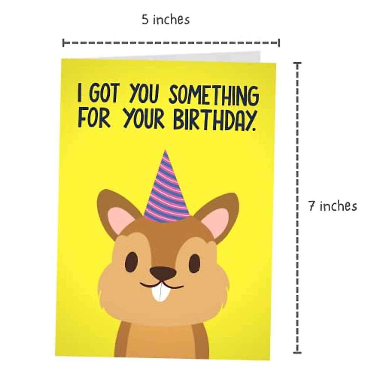 Sleazy Greetings Squirrel Pop Up Birthday Card | Funny Birthday Card for Men Women | Squirrel 3D Greeting Cards 5x7 Inch