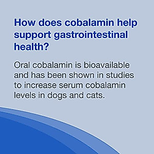 Nutramax Cobalequin B12 Supplement for Cats and Small Dogs, 45 Chewable Tablets