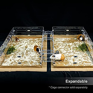 GuineaLoft ™ Guinea Pig Cage (Version 3) - Large 4ft x 2ft Play Area, Clear View w/Transparent Acrylic Panel, Disposable Paper Bottom Liner, Water-Resistant, Easy to Clean Exclusive by Loft